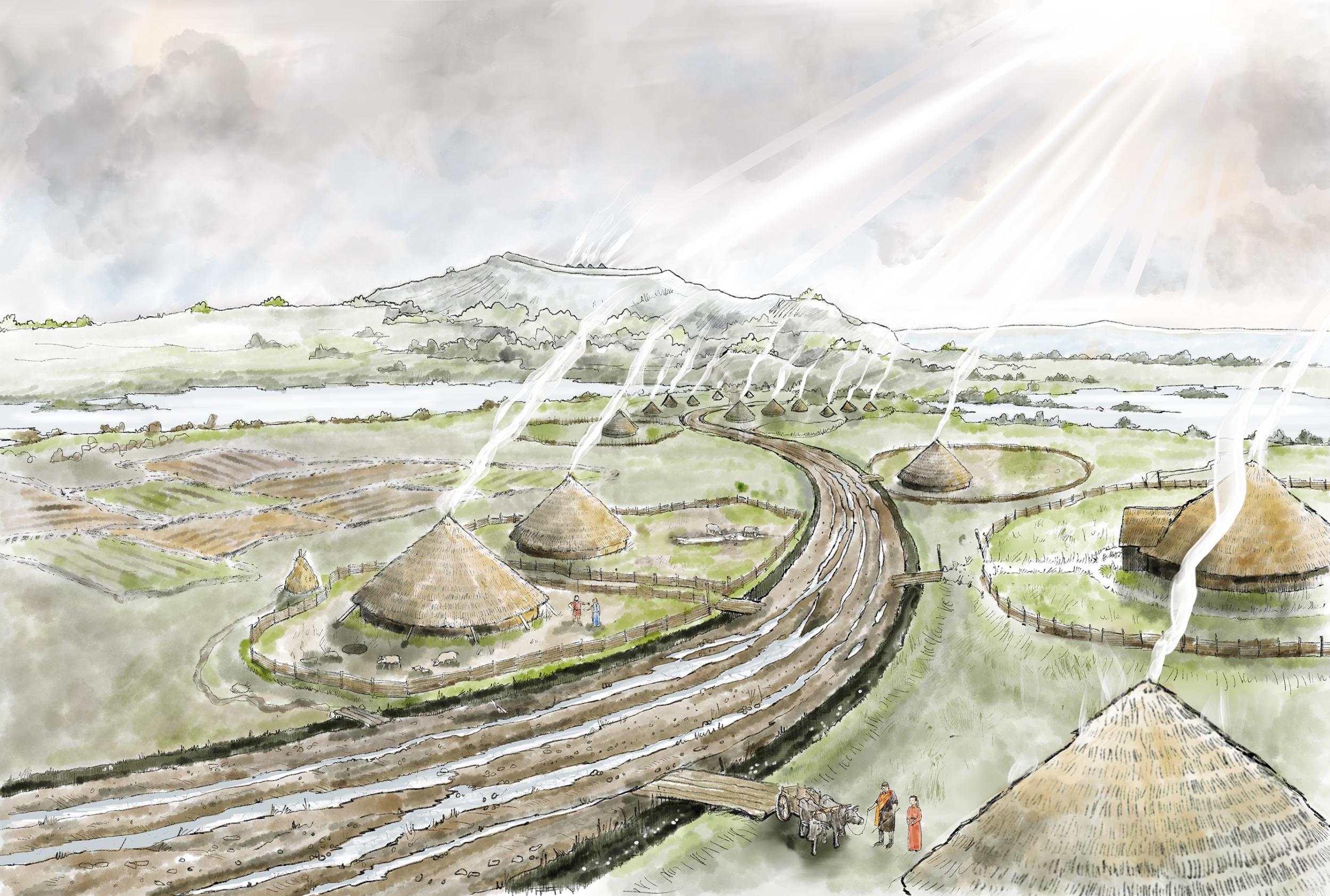 Yatton: A trackway to the past | Our Work | Wessex Archaeology