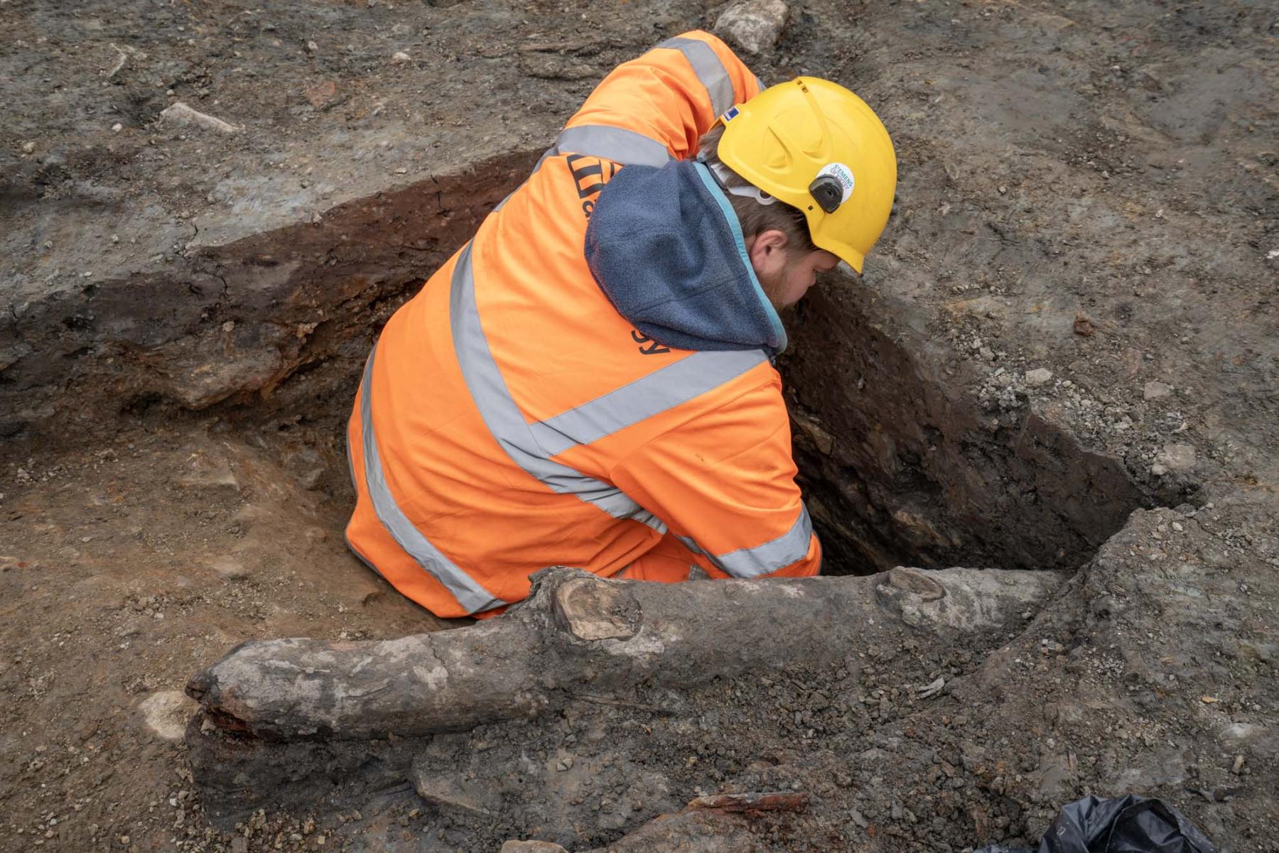 Sheffield Castle | Our Work | Wessex Archaeology
