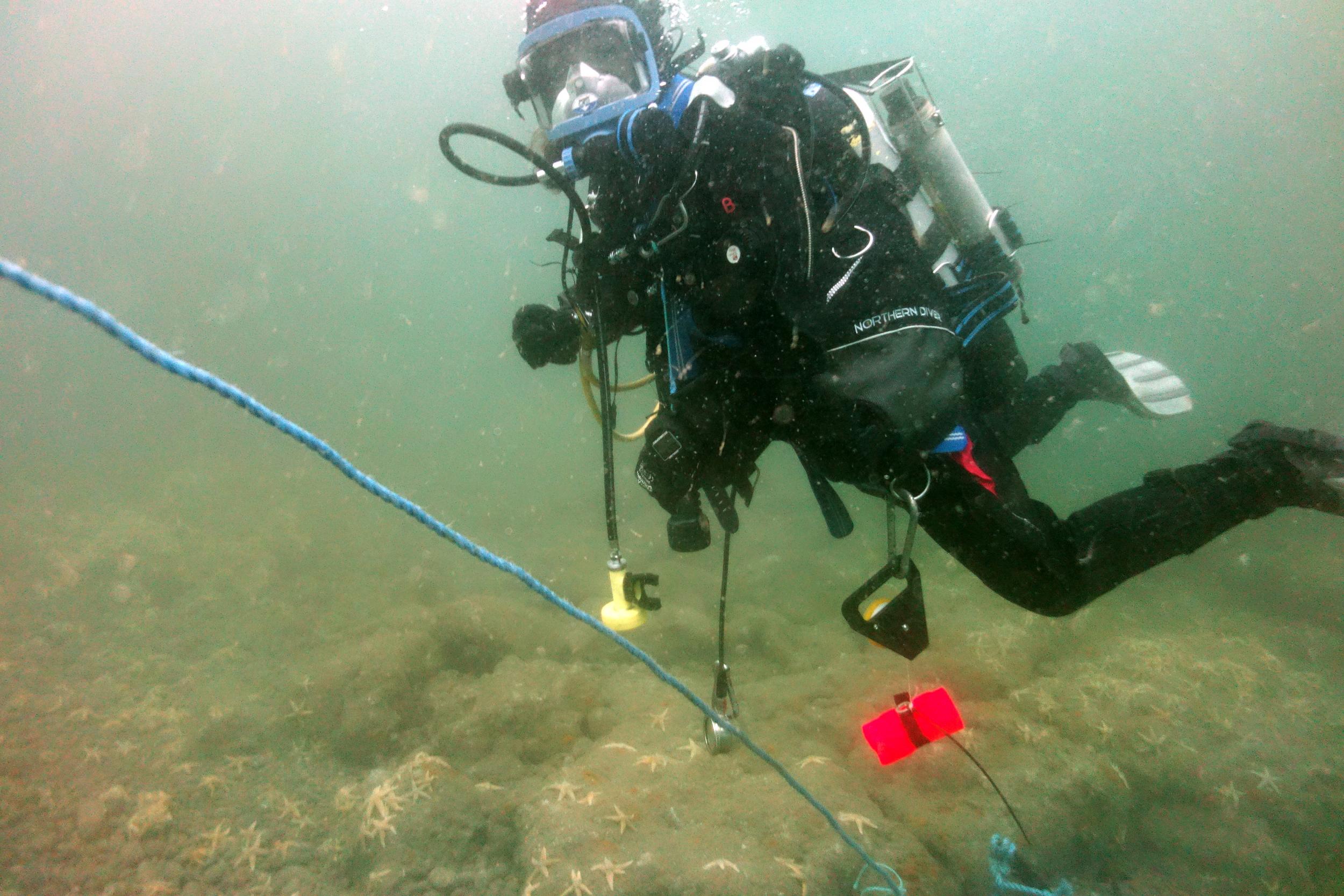 Heritage at Risk – Dive Contract (2013 – 2015) | Our Work | Wessex ...