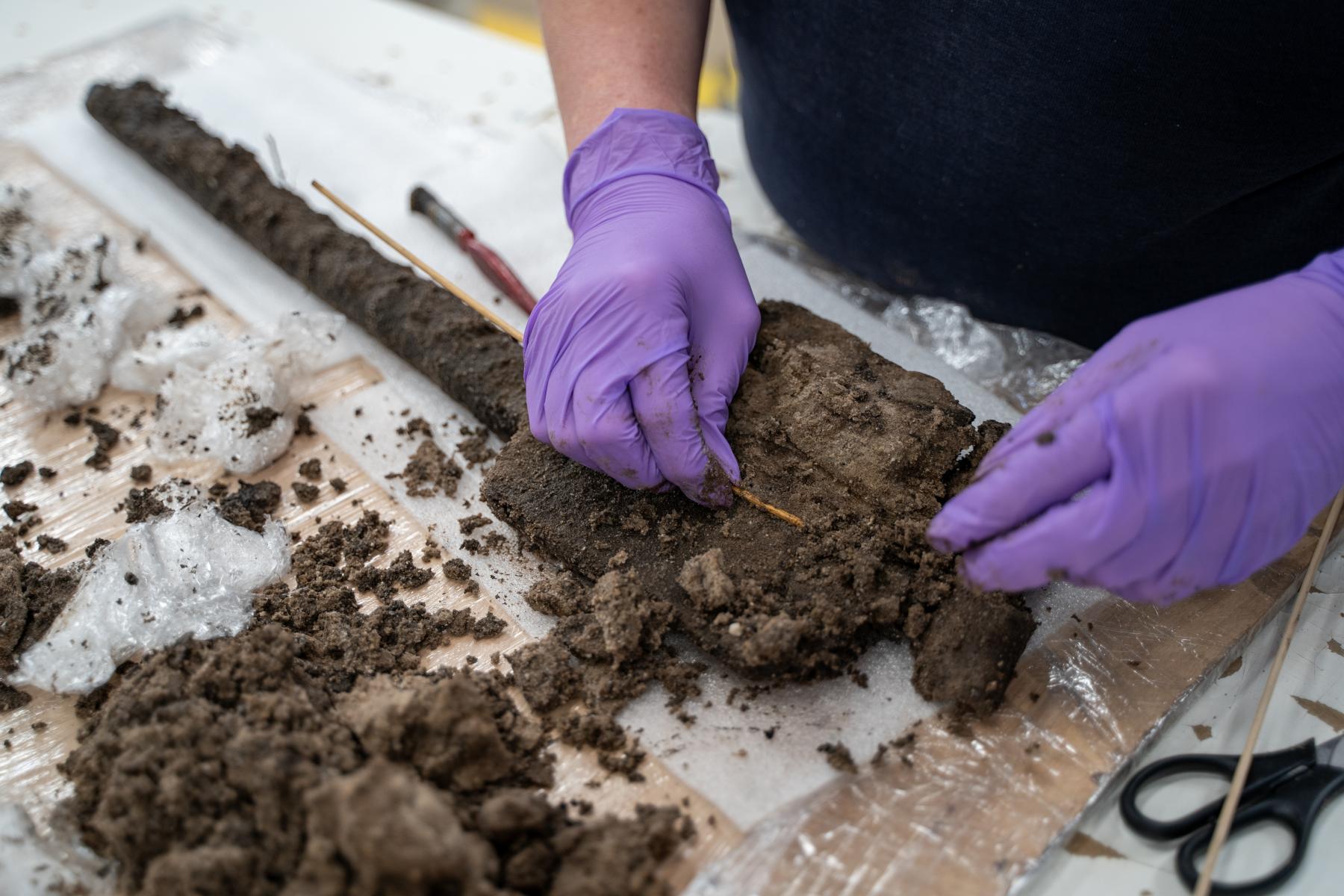 Archaeologists uncover one of the oldest and most complete wooden tools ...