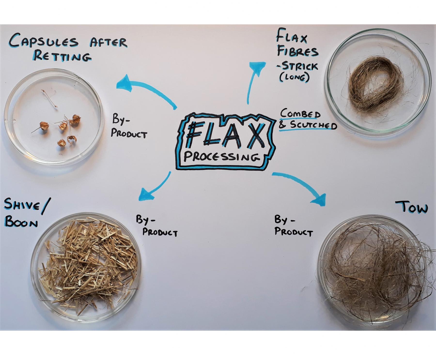 Flax processing workshop | Wessex Archaeology