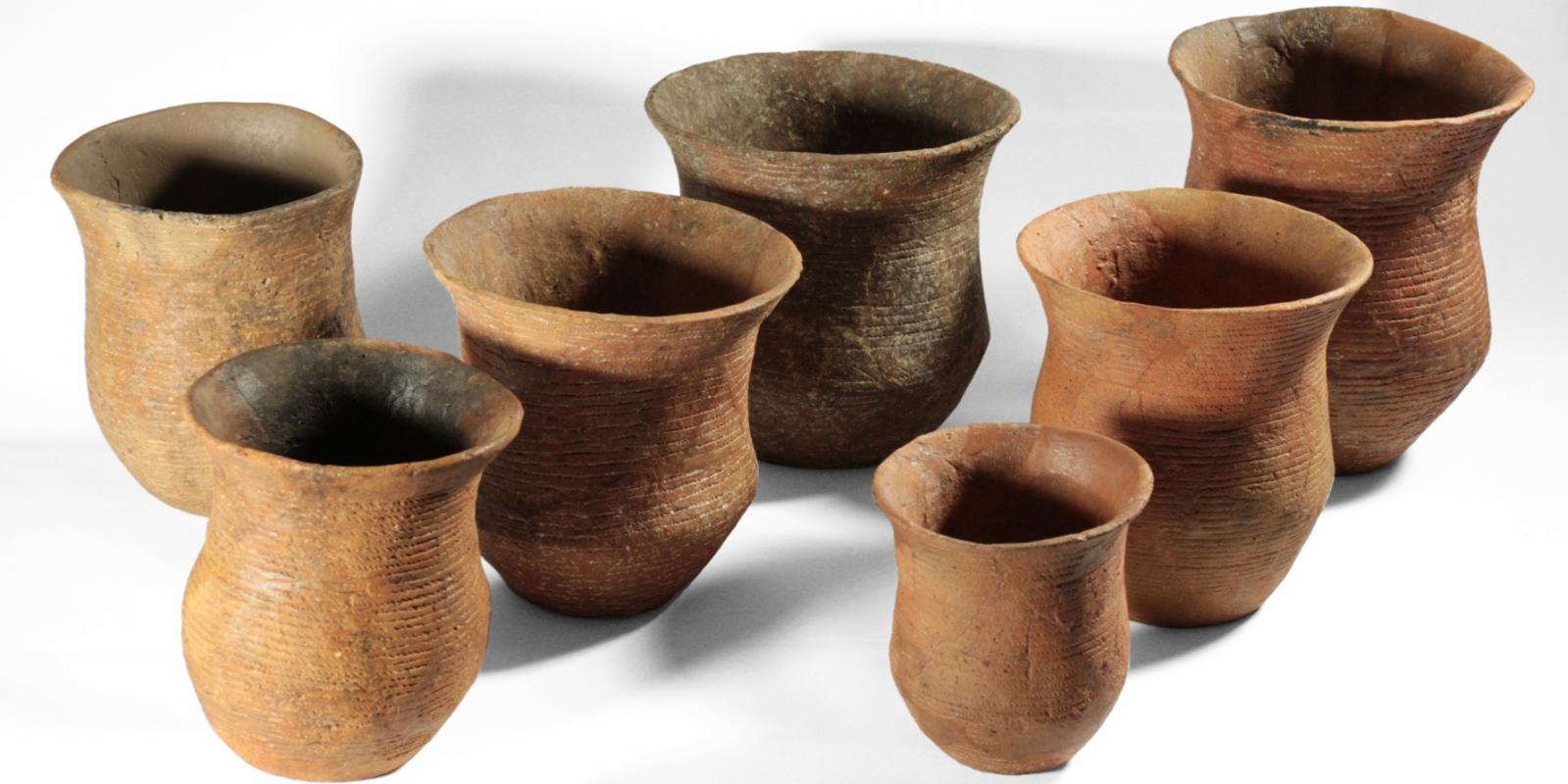 DNA study reveals scale of Bell Beaker migration into the British Isles ...