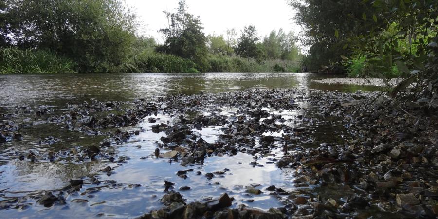 River life and landscapes: Angie's inspiration | Wessex Archaeology