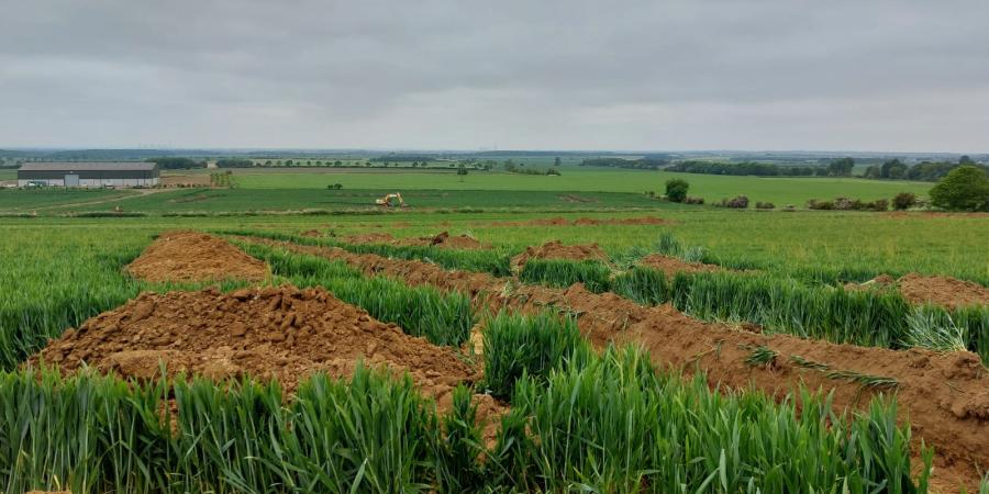 Tillbridge Solar Project | Our Work | Wessex Archaeology