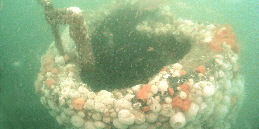 Resurgam | Wessex Archaeology