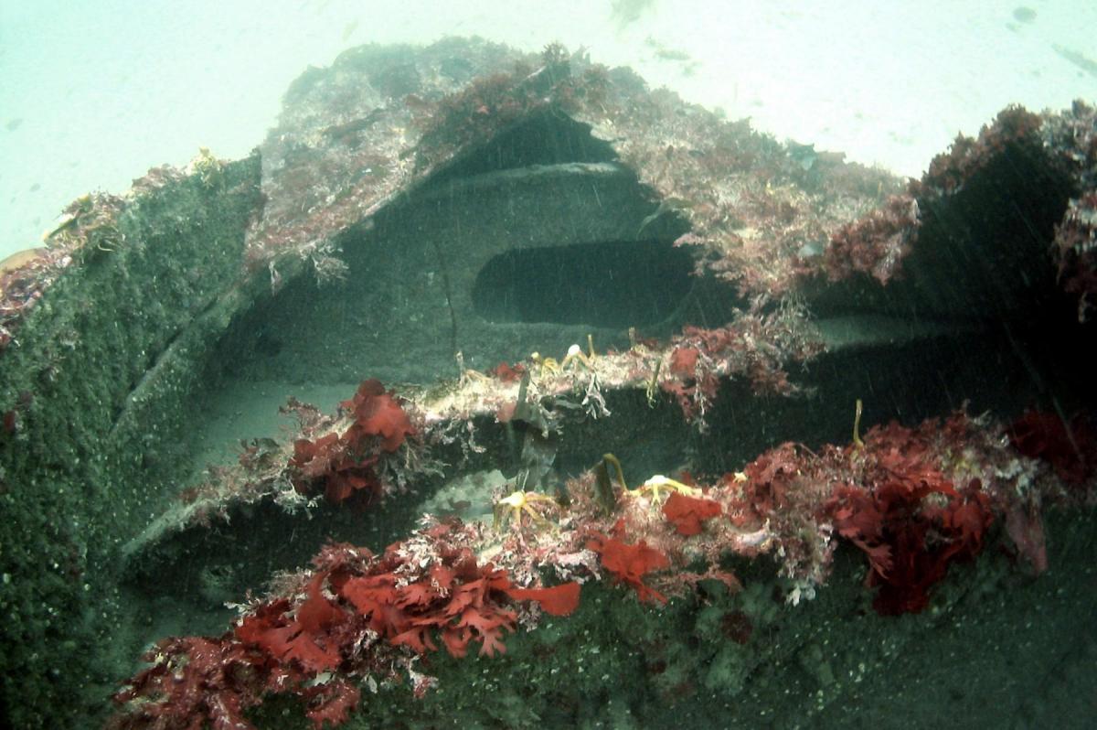 HMS Drake, Rathlin Island | Our Work | Wessex Archaeology