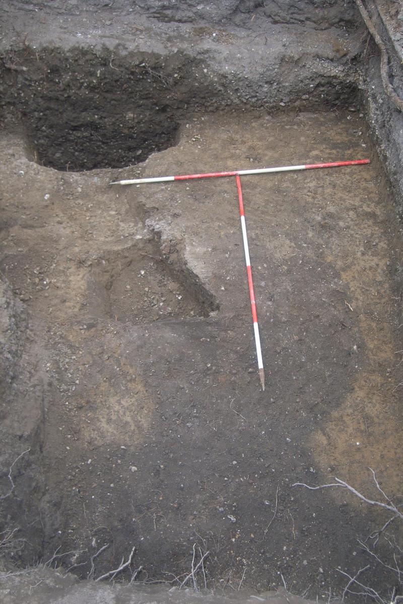Salisbury Sites 25: Emmaus and Damascus House | Wessex Archaeology